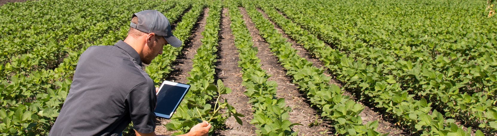 22 Ag Tech Tools for Farmers and Ranchers | Serving OK & AR Since 1909